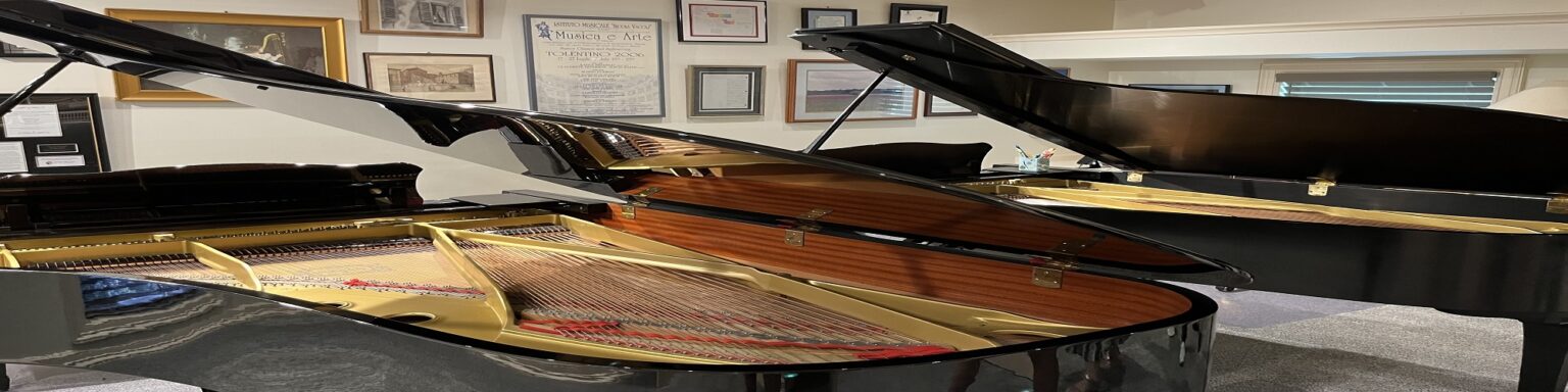 Contact Us – American College of Musicians